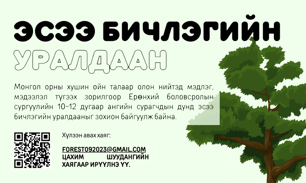 Ойн газар Засгийн газрын хэрэгжүүлэгч агентлаг